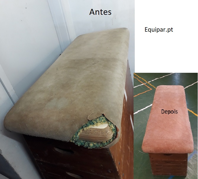 Reparação de Plinto – Ninfas Didáticas